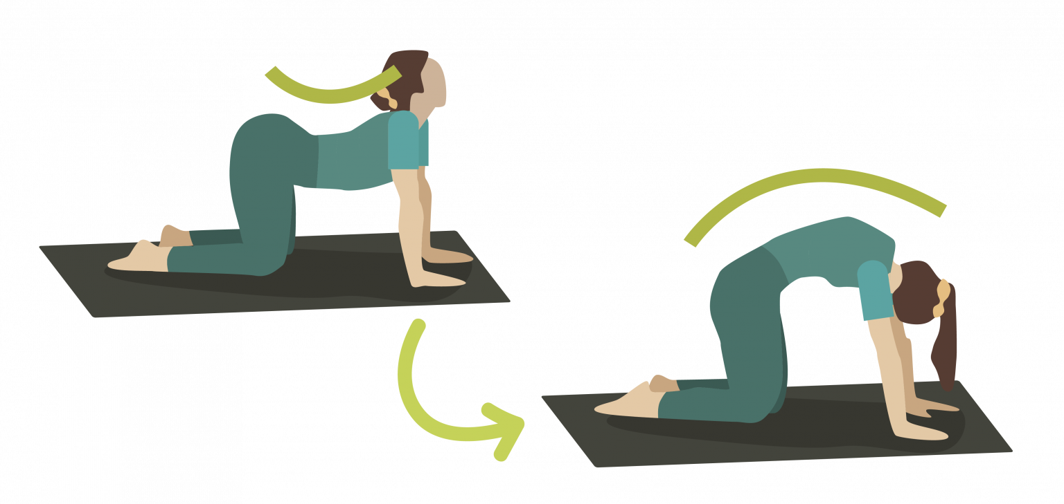 Recomendaciones para lumbalgia – Los Comuneros